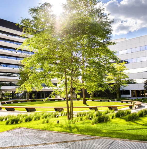 Royal National Orthopaedic Hospital launch Pathpoint platform | UK ...